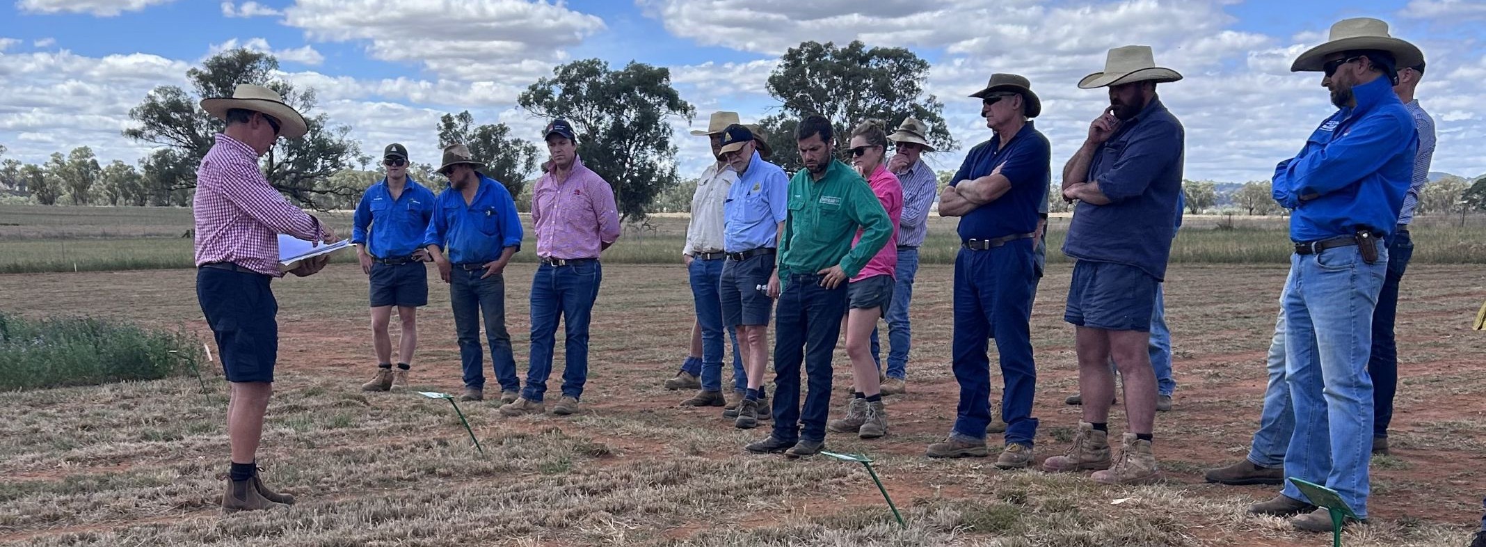 Pastures & Grazing NSW | 2025 Annual Pasture Update, Cudal